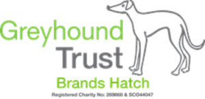 Home a Hound - Dunrunnin Rehoming Kennels, Brands Hatch
